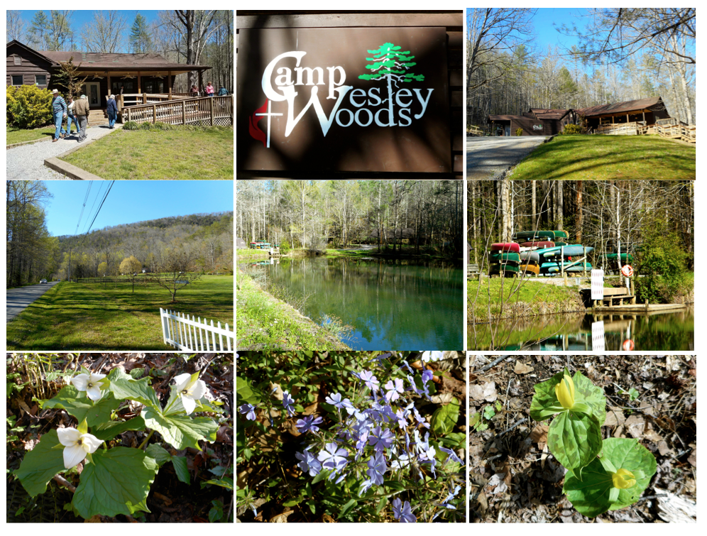 April 2017 -“Book Launch Memories” | Lin Stepp