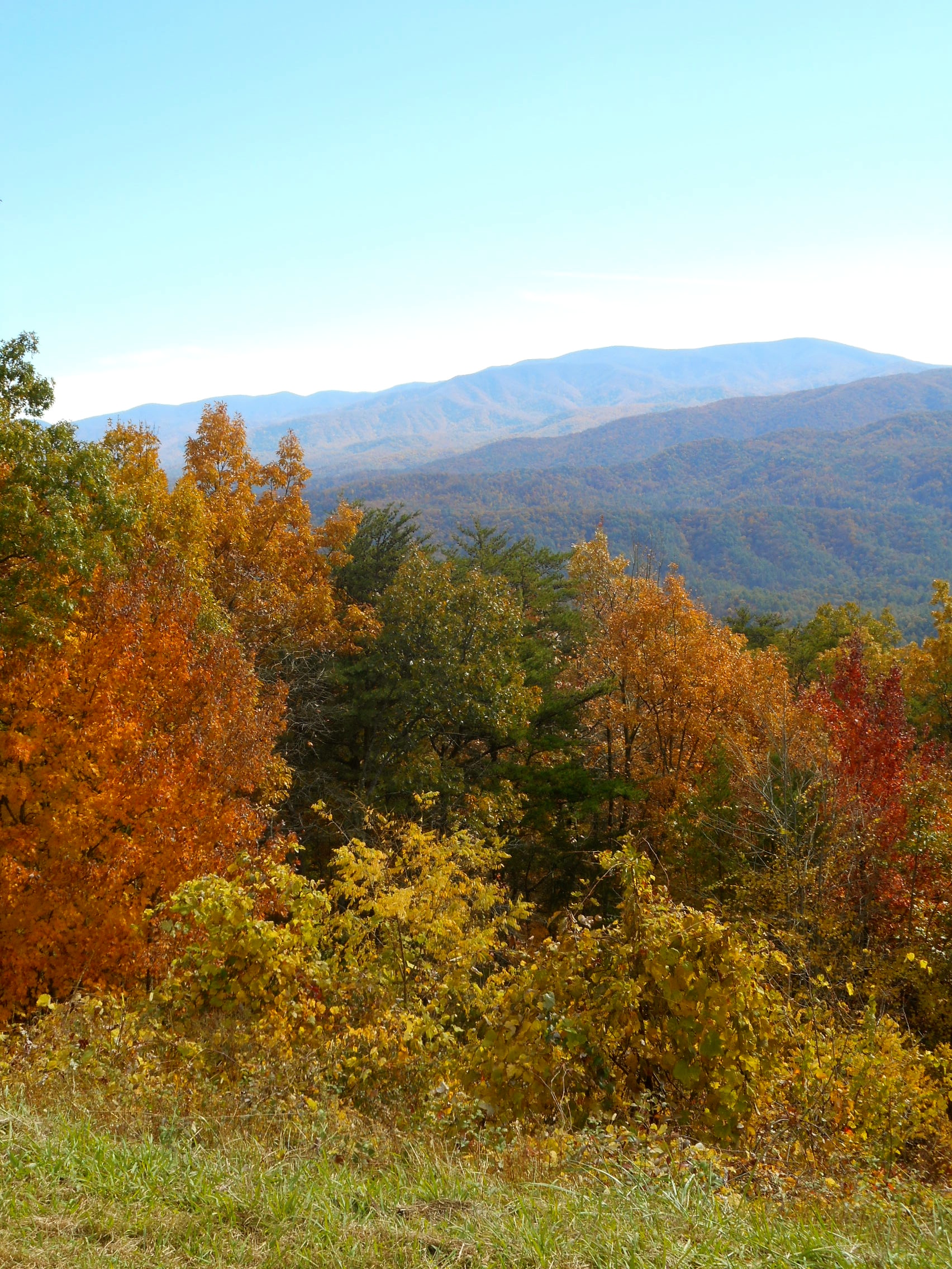 May 2021- WHY I LOVE KNOXVILLE | Lin Stepp