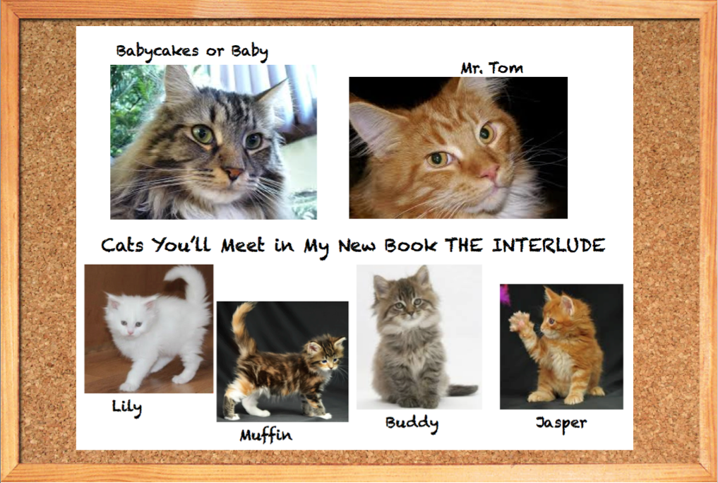 December 2019 – THE INTERLUDE | Lin Stepp