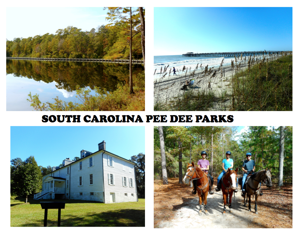 March Blog 2021 – SC PARKS GUIDE | Lin Stepp