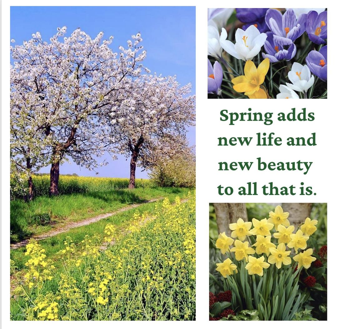 MAY 2023 – May Flowers | Lin Stepp